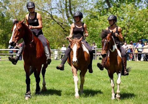 Danielle Check It Plusfiveapparel A New Clothing Company By Your