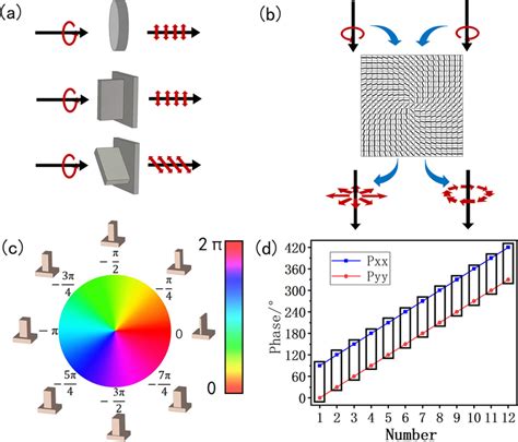 A Anisotropic Structures With Specific Parameters Can Convert Circular Download Scientific