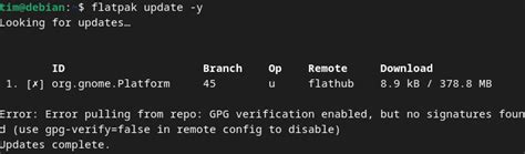 Solved Issue With Flatpak Update