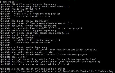 Npm Install Issue Rainmango Vue Composition Admin