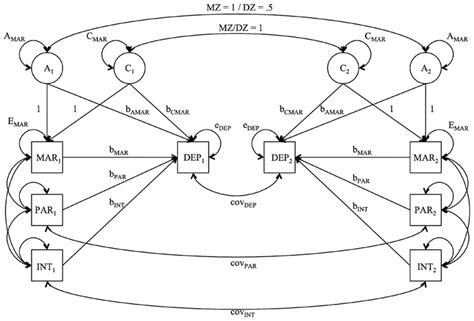 Full Multivariate Biometric Regression Model A Additive Genetic Download Scientific Diagram