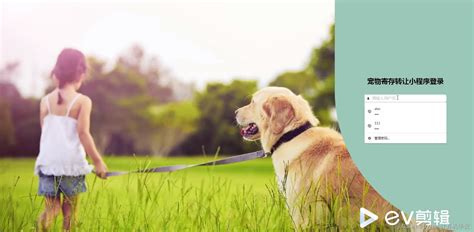 Java毕业设计宠物寄存转让小程序怎么实现狗狗转让转出java Csdn博客