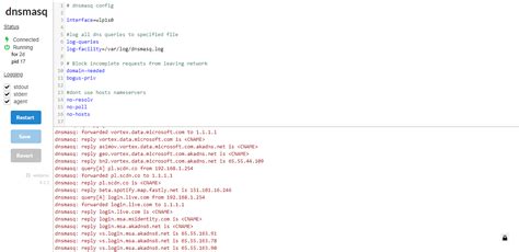 Docker Image Not Passing Traffic Through Macvlan Rpihole