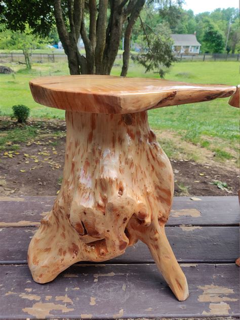 Cedar Tree Stump Stool Nightstand Table Plant Stand Live Etsy