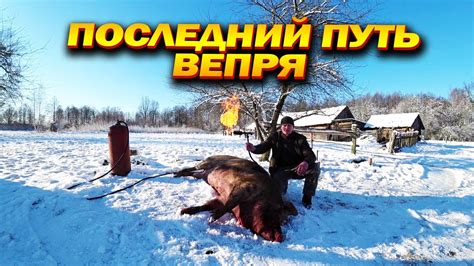 КУПИЛ ХУТОР в ЛЕСУ на КРАЮ БОЛОТА Чистые Люди Белорусского Полесья №167 Youtube