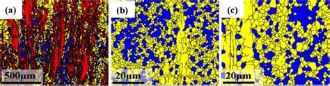 The Microstructure Of Recrystallization Substructure And Deformed Download Scientific Diagram