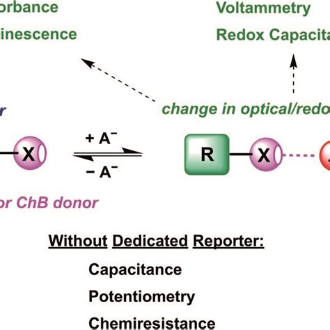 Schematic Depiction Of The Most Common Supramolecular Hostguest Download Scientific Diagram