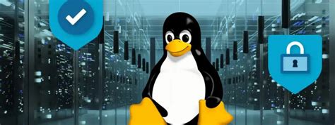 Managing Large Scale Linux Servers Key Considerations For Efficiency And Security