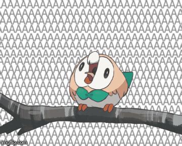 The Best Of Rowlet Memes Imgflip