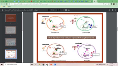 Women Intro To Sex Hormones Flashcards Quizlet