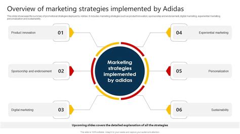 The Marketing Mix Of Overview Of Marketing Strategies Implemented By Strategy Ss V