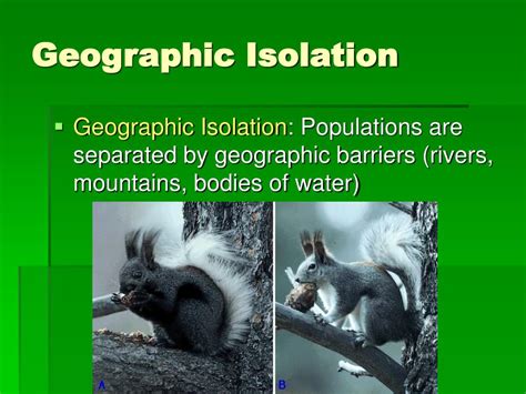 Ppt Speciation Powerpoint Presentation Free Download Id 6382881