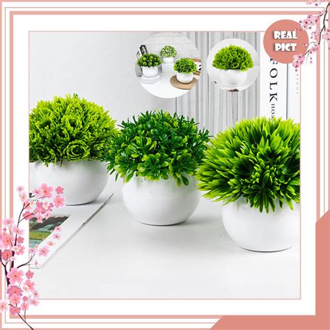 Jual UNICO Pot Bunga Plastik Hias Mini Import Termurah Bunga Rumput Aesthetic Pot Bunga Mini