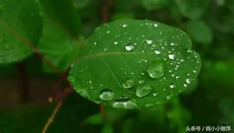 上聯雨酒一杯歌一遍求下聯 每日頭條
