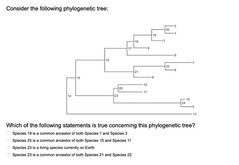 Solved Consider The Following Phylogenetic Tree Of The