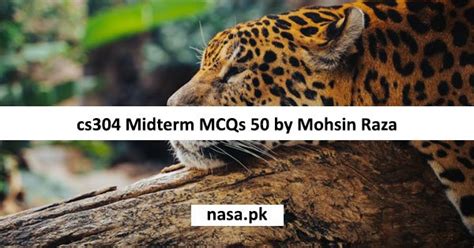 Cs304 Midterm Mcqs 50 By Mohsin Raza