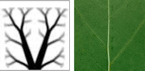 Optimal Heat Conduction Topology Obtained Using Simp Left Note Dark Download Scientific
