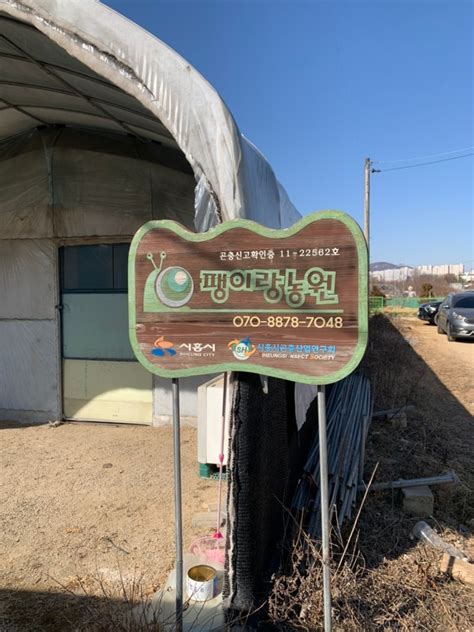 🐌백와 금와 입양 후기🐌 달팽이 입양하는 방법은 어떤 것이 있을까 달팽이 택배로 보내는 법 처음 데려왔을 때 주의사항 네이버 블로그