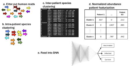 Preprocessing Of Genetic Samples Into Bacterial Species Features Download Scientific Diagram