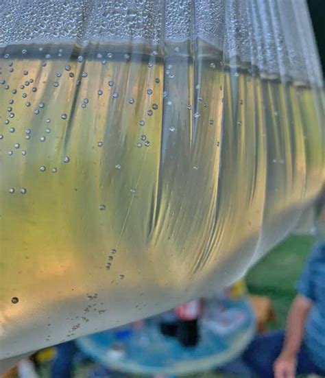 Гражданин сигнализира за лошо качество на питейната вода в Пирдоп Средногорски БАГРИ