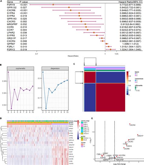 Identification Of Gpcr Based Molecular Subtypes Via Nmf Method Download Scientific Diagram