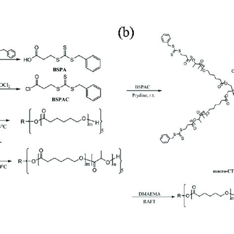 Synthesis Of The Star Block Amphiphilic Copolymer Via Ring Opening