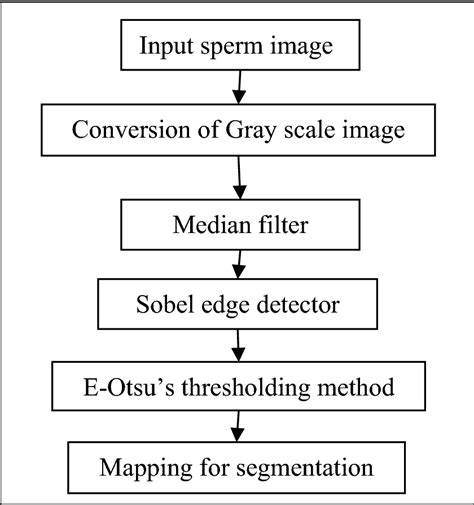 Process Flow Of Edge Detection To Map Segmentation Process Download