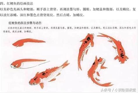 國畫中金魚的繪畫方法及步驟 每日頭條