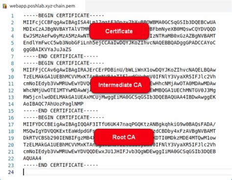 Converting Certificates From Crt To Pem Format Theitbros