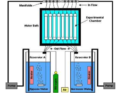 A Schematic Diagram Of The Closed Recirculating System Used For Year 2 Download Scientific