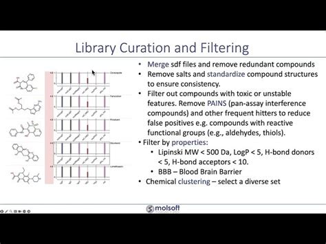 Free Video Preparing Chemical Libraries For Virtual Ligand Screening And Ligand Docking From