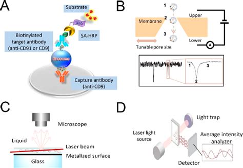 Examples Of Various Conventional Evs Analysis Methods A Schematic Download Scientific