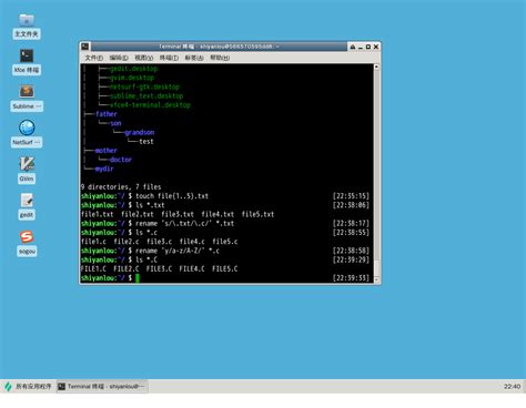 Linux 目录结构及文件基本操作 蓝桥云课