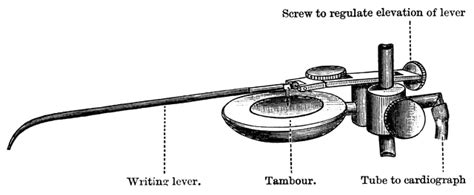 Cardiograph Clipart Etc