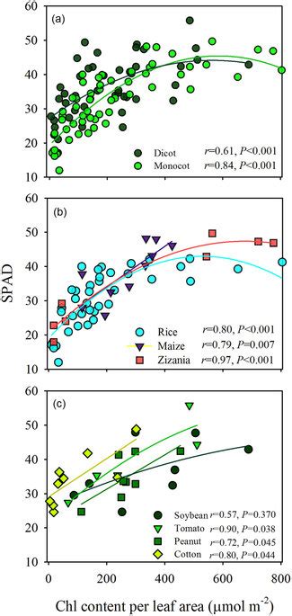 The Relationship Between Spad Values And Chlorophyll Content Per Leaf