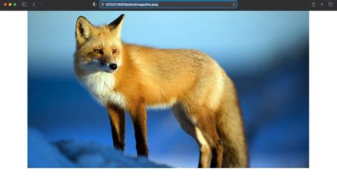 Django特殊文件管理之static和media异同之处django Static Media区别 Csdn博客