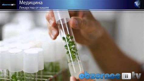 Чем лечить сухой кашель - это важно знать! - YouTube