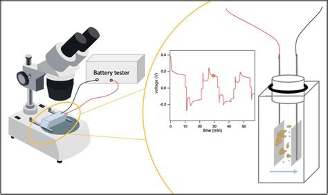 Hpm Light Socket Wiring Diagram Wiring Diagram And Schematic