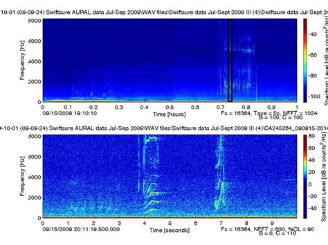 3 LTSA Top And Spectrogram Bottom Corresponding To The Portion Of