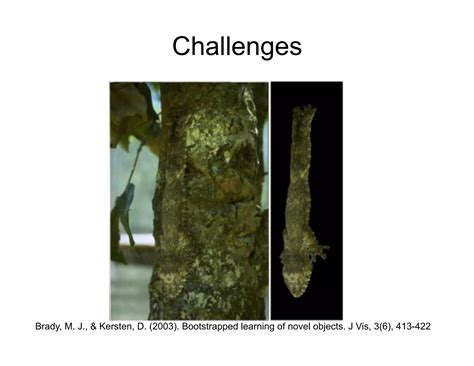 Mit6 870 Grounding Object Recognition And Scene Understanding Lecture 1 Pdf