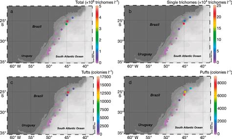Abundance Of Trichodesmium At The Surface In The South Atlantic Ocean Download Scientific