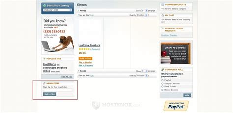 Hostknox Magento Newsletter Tutorial