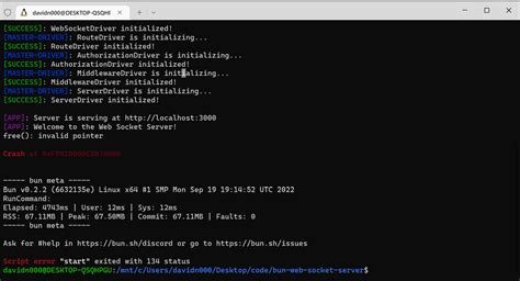 Crash At 0x9E010000E8030000 When Trying To Server Upgrade To