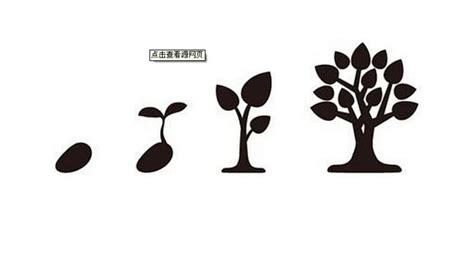 谷物成长简笔图 花瓣网