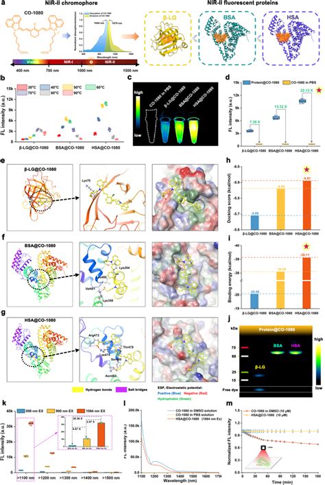 Construction And Characterization Of Biomimetic Nir Ii Fluorescent