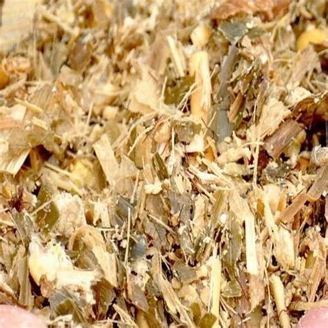Organic Corn Silage 70 Moisture Packaging Size 50 Kg At ₹ 7 Kg In