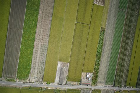 Aerialimagesegmentation Instance Segmentation Dataset By Nctu