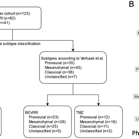 Patient Flow And Gene Expression Subgroups A Patient Flow Of Included Download Scientific
