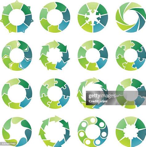 7 Segment Infographic Photos And Premium High Res Pictures Getty Images