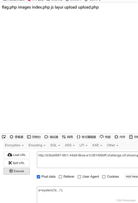Ctfshow Web入门 文件上传 Web151 Web161 Csdn博客